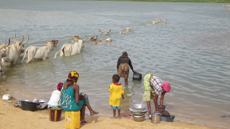 Epidemiology and evolution of zoonotic schistosomiasis in a changing ...